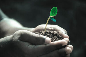 Comprar Compost - Tierra Vital Esconsu - Planta de Compostaje